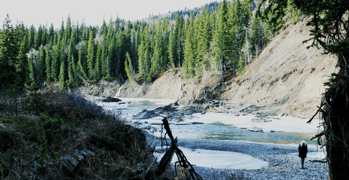 Speaking Events – Jane L. Fitzpatrick, Writer